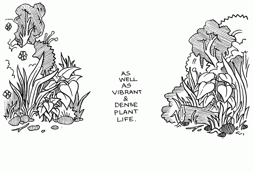 So Below: A Comic About Land